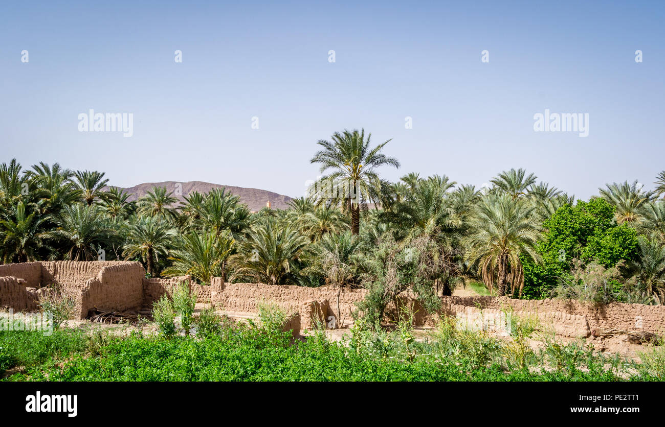 Figuig morocco oriental hi-res stock photography and images - Alamy