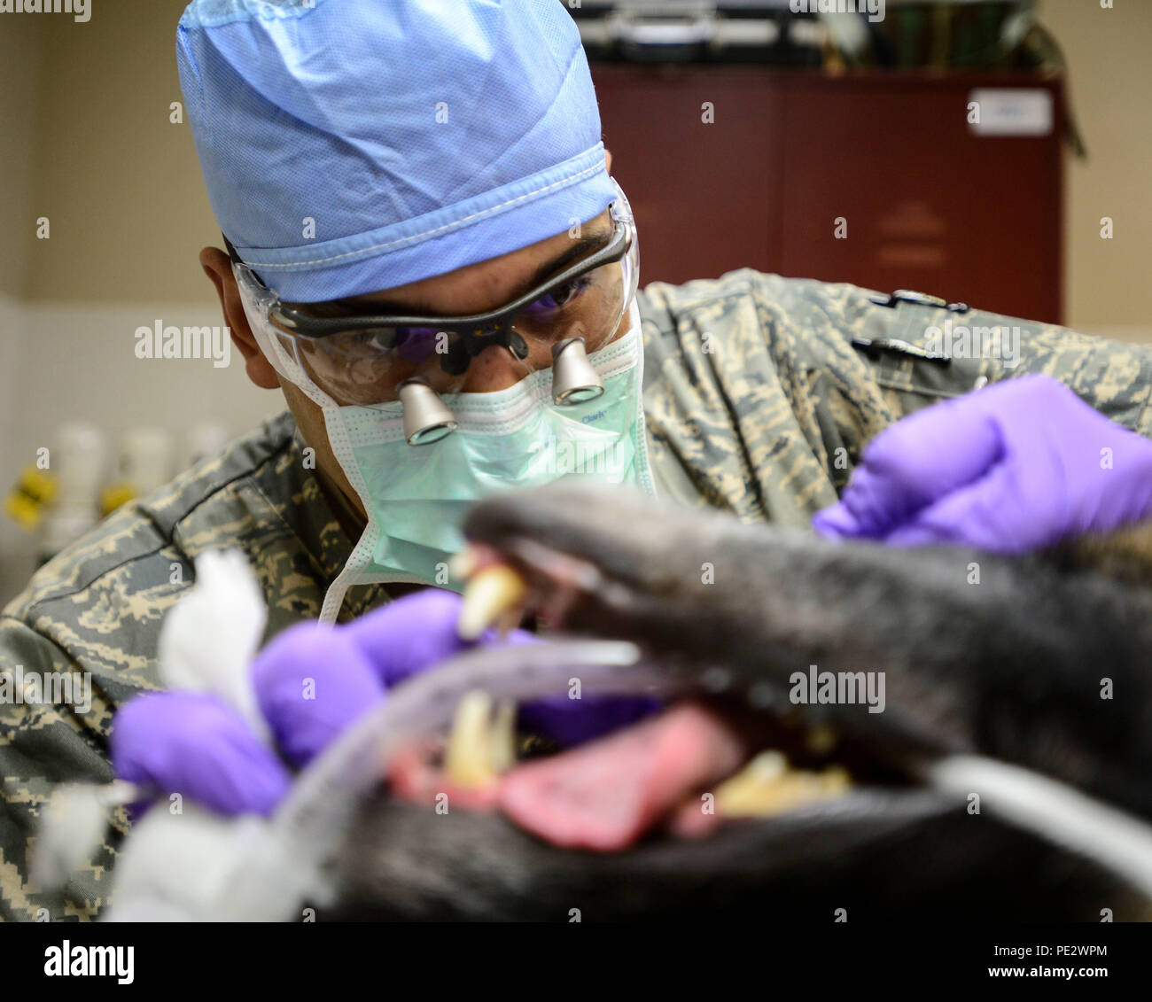 332 esfs hi-res stock photography and images - Alamy