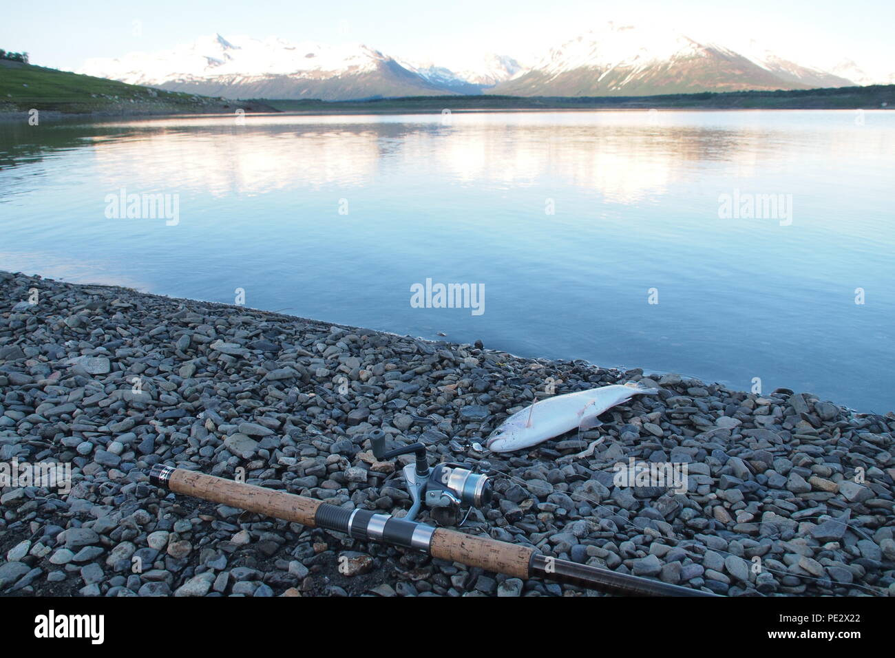 trout fishing in Patagonia with andes mountains, Lago Roca, near El ...