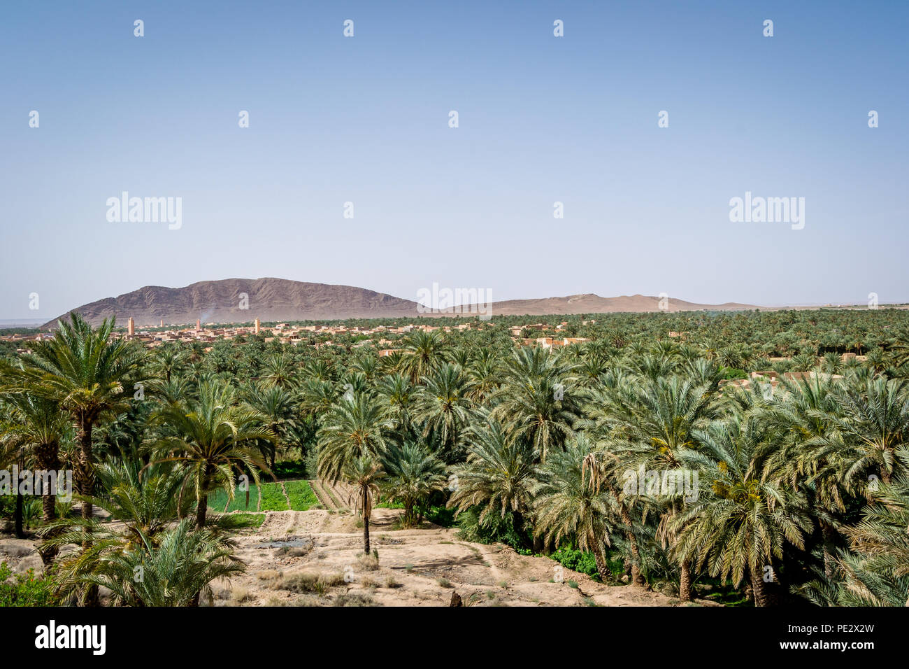 Figuig morocco oriental hi-res stock photography and images - Alamy