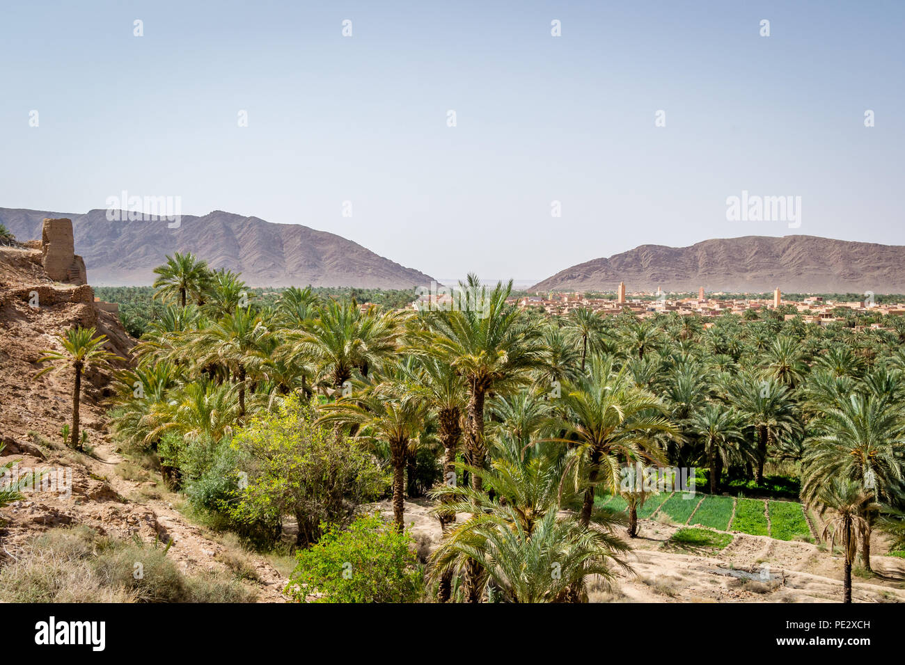 Figuig morocco oriental hi-res stock photography and images - Alamy