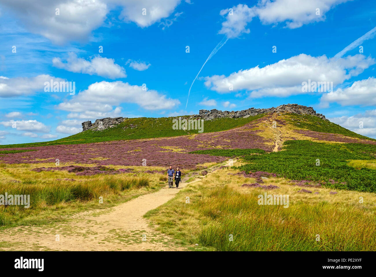 Purple heather, Burbage, Burbage Valley, Peak District National Park ...