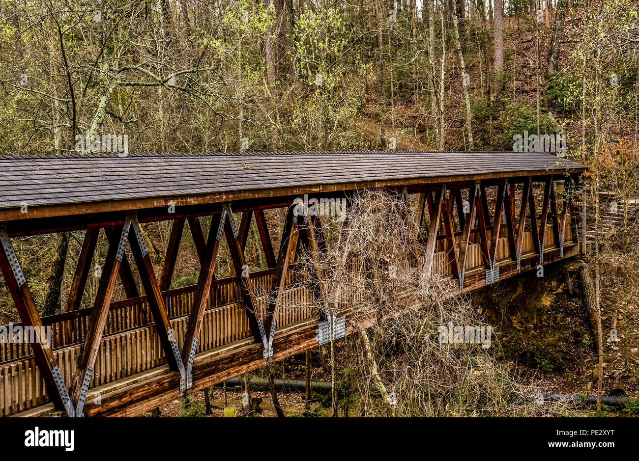 An old covered wood bridge spanning a gorge in the forest Stock Photo ...