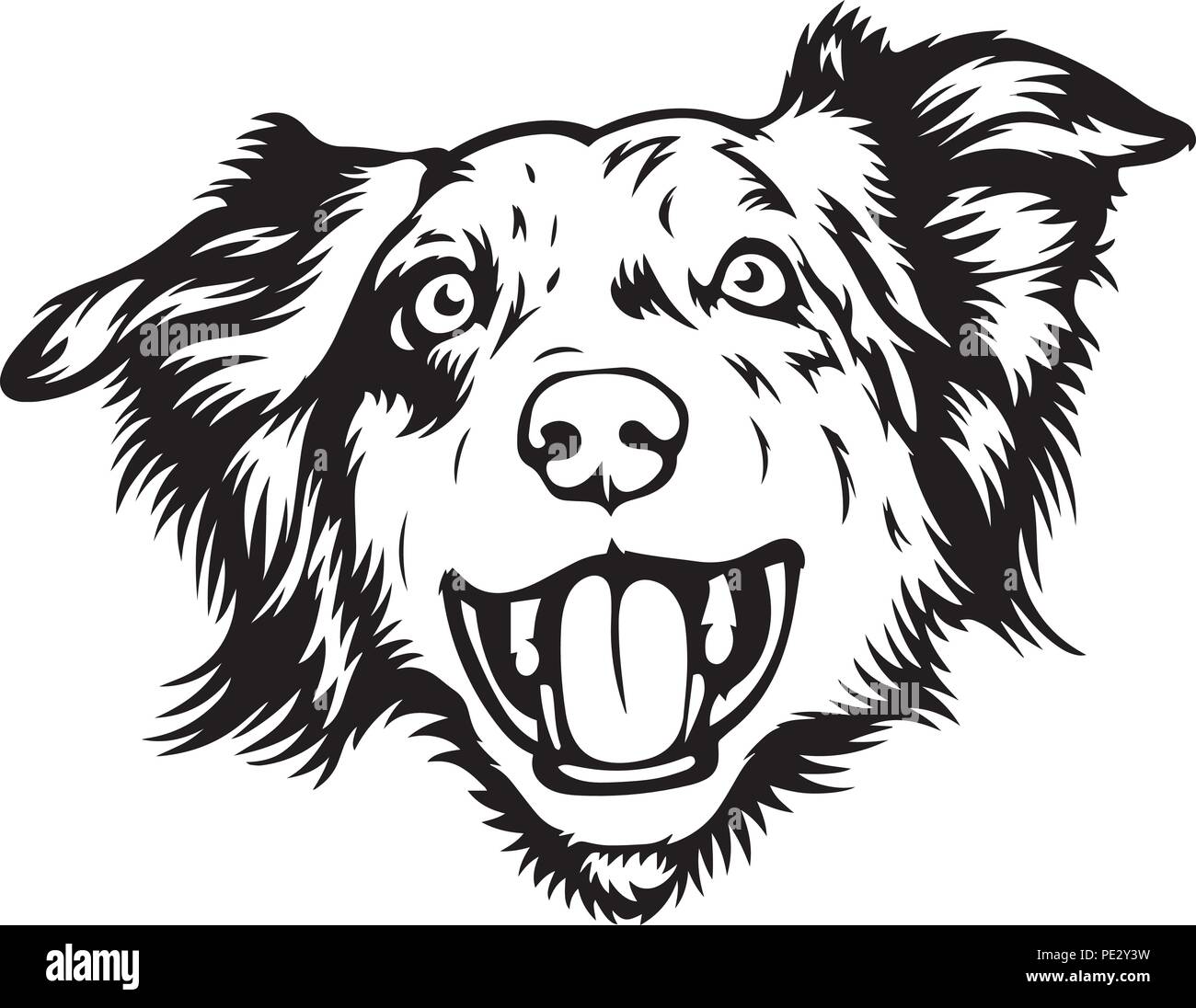 Australian Shepherd Dog Breed Pet Puppy Isolated Head Face Stock Vector ...