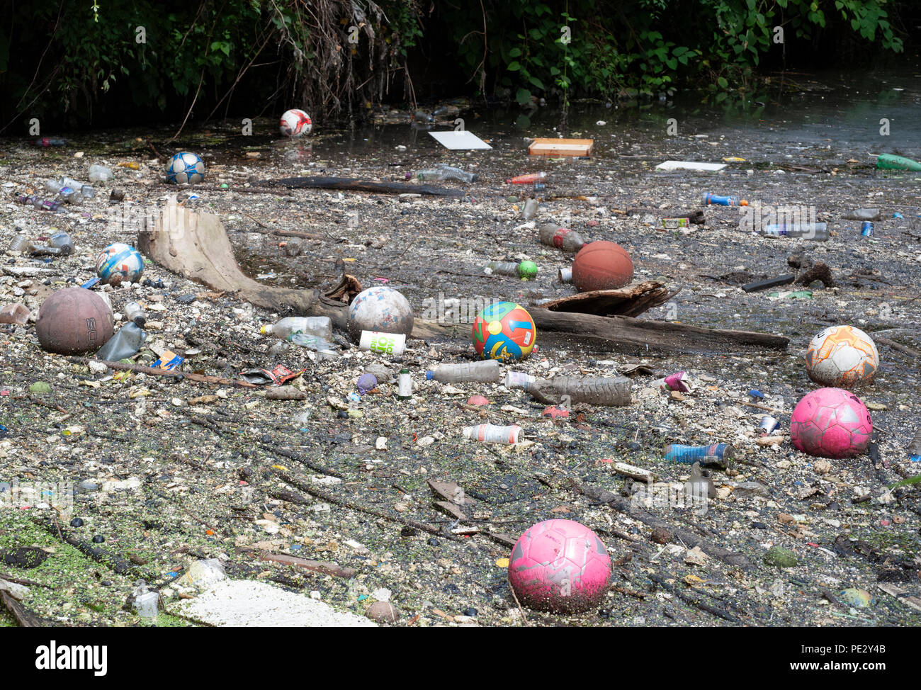 River pollution collected near a pollution grate,River Brent, near ...