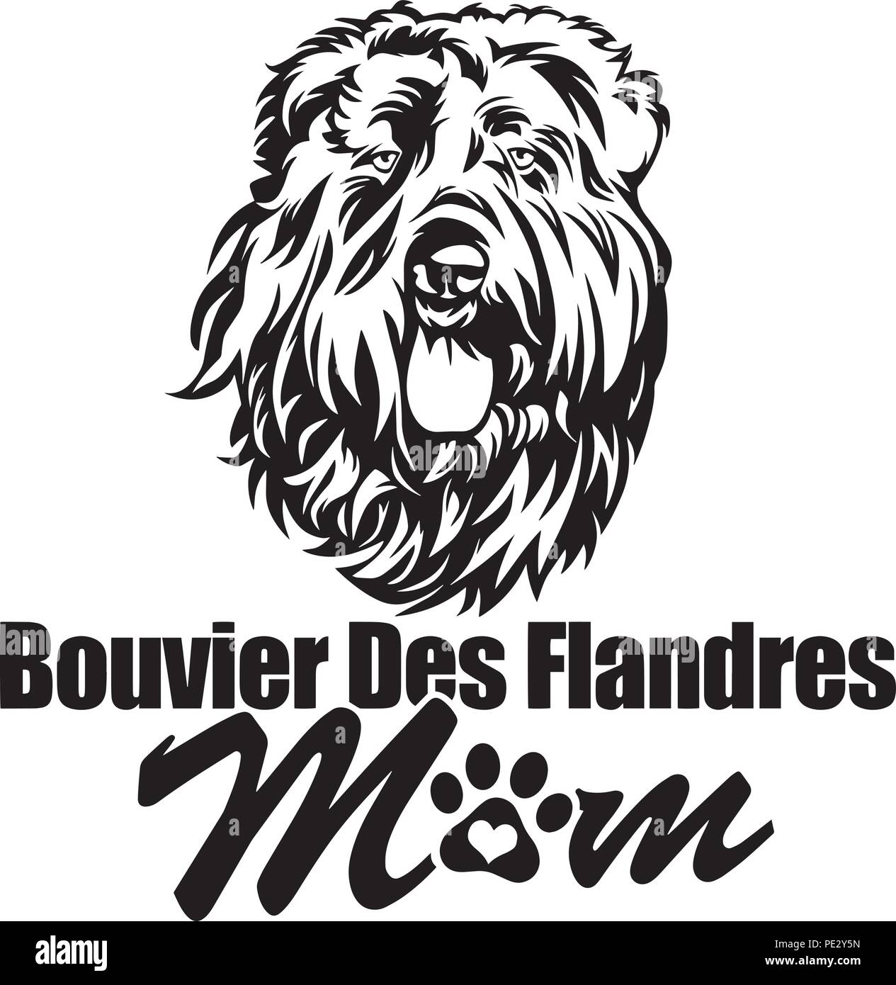 Bouvier des Flandres Dog Breed Pet Puppy Isolated Head Face Stock ...