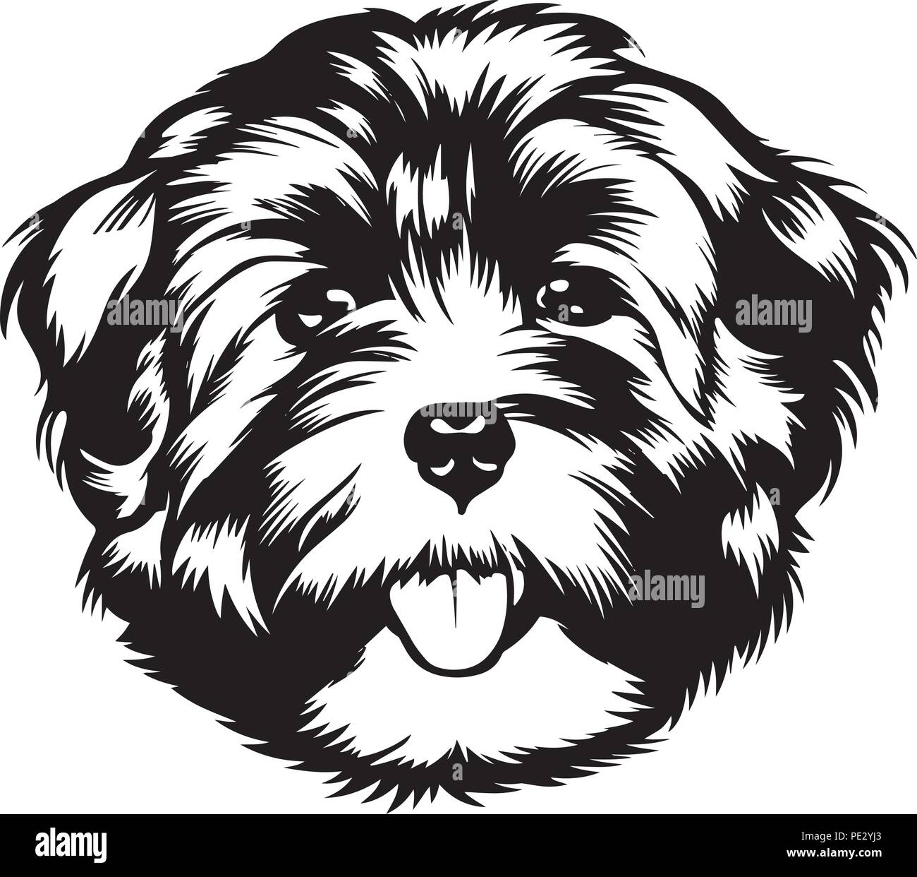 Havanese Dog Breed Pet Puppy Isolated Head Face Stock Vector Image ...