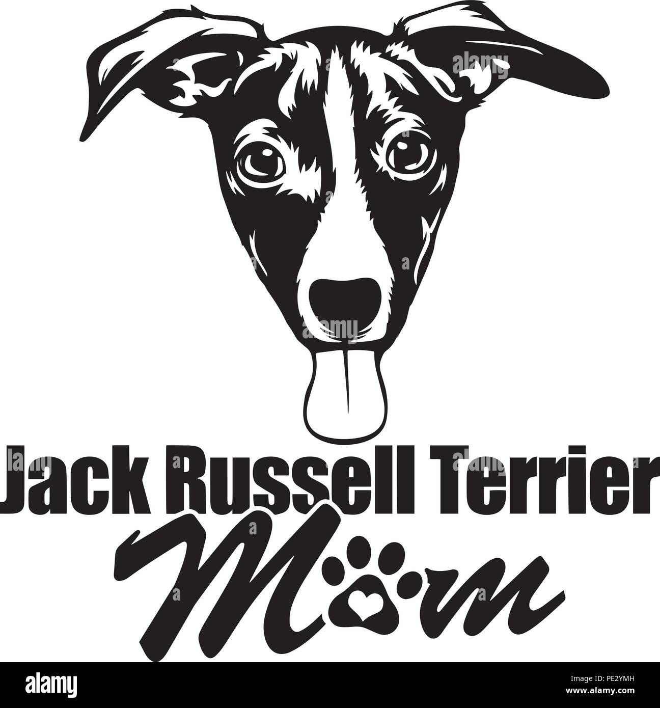 Jack Russell Terrier Dog Breed Pet Puppy Isolated Head Face Stock ...