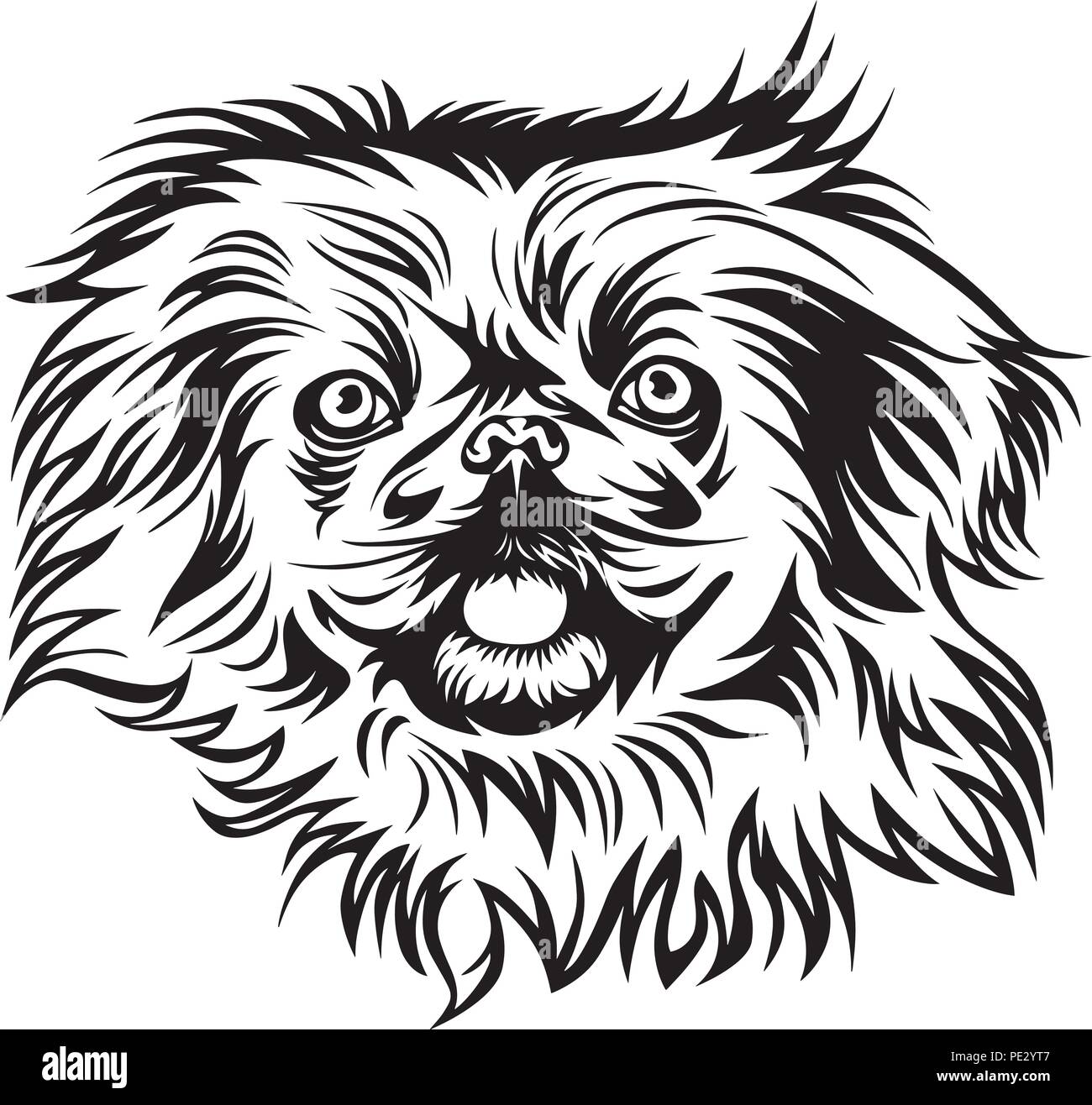 Pekingese Dog Dog Breed Pet Puppy Isolated Head Face Stock Vector Image ...