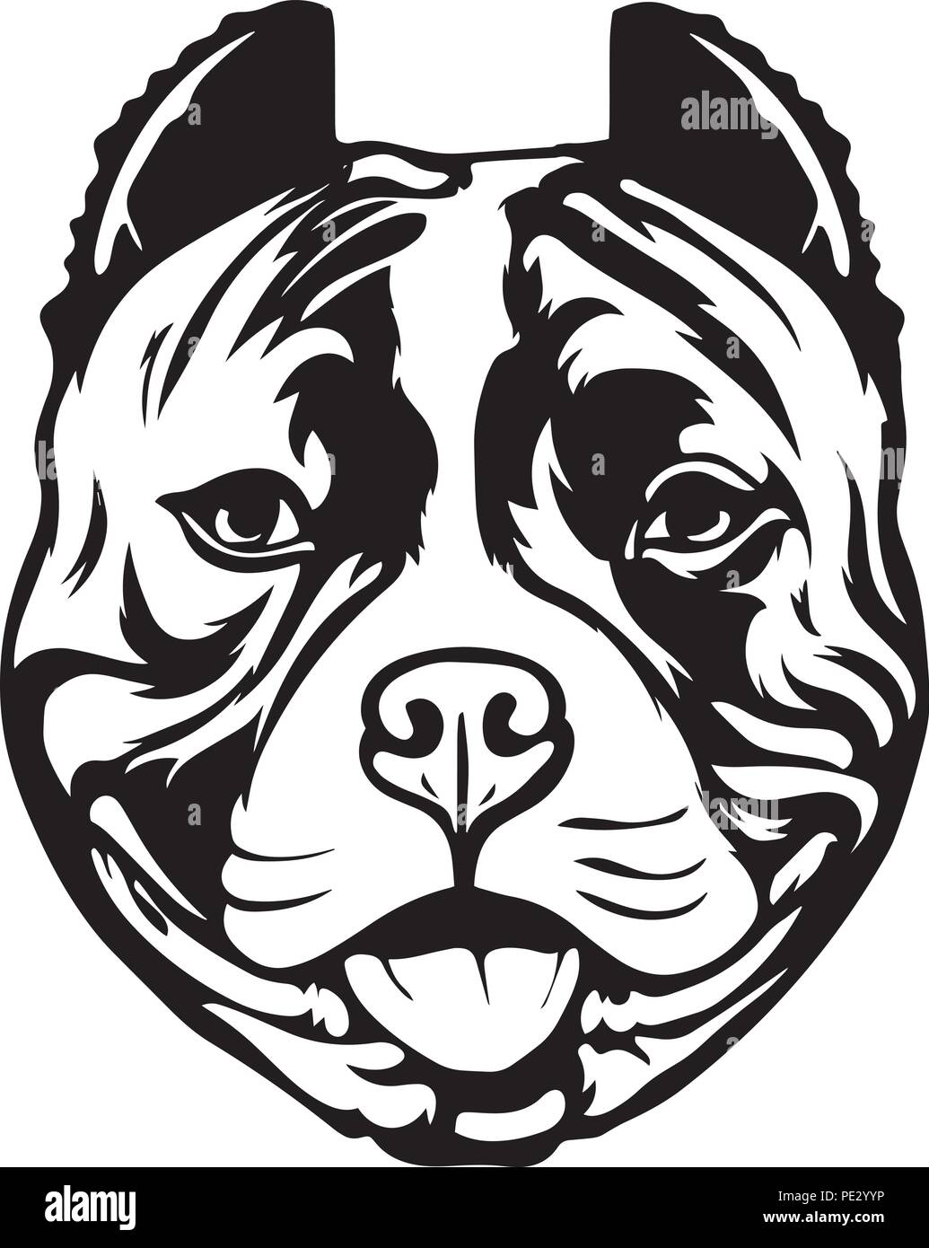 Pit Bull Pitbull Dog Dog Breed Pet Puppy Isolated Head Face Stock ...