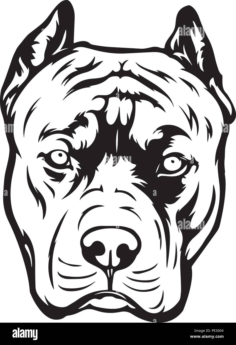 Pit Bull Pitbull Dog Dog Breed Pet Puppy Isolated Head Face Stock ...