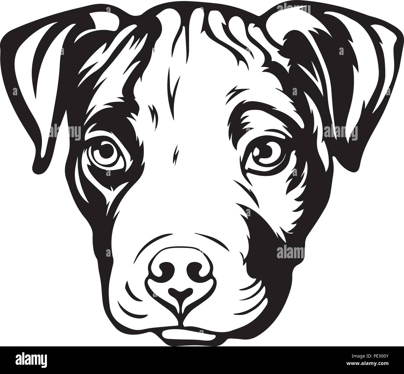 Pitt vector vectors hi-res stock photography and images - Alamy