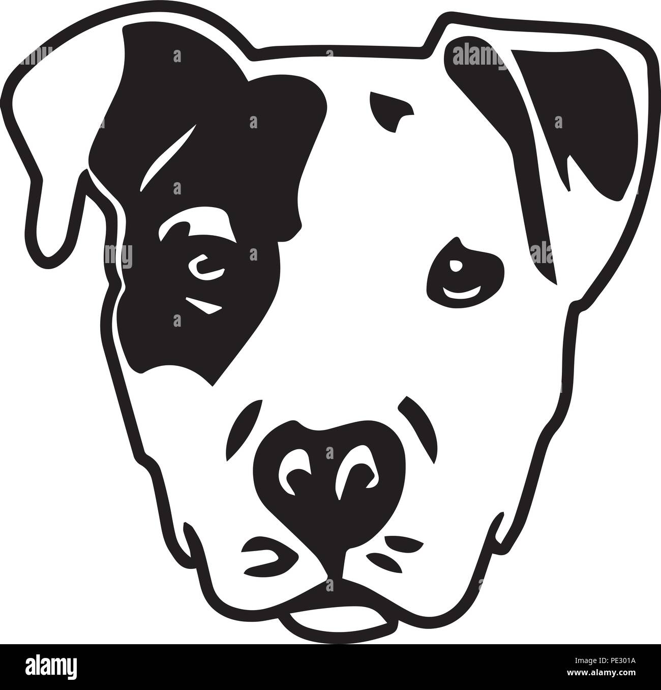 Pit Bull Pitbull Dog Dog Breed Pet Puppy Isolated Head Face Stock ...