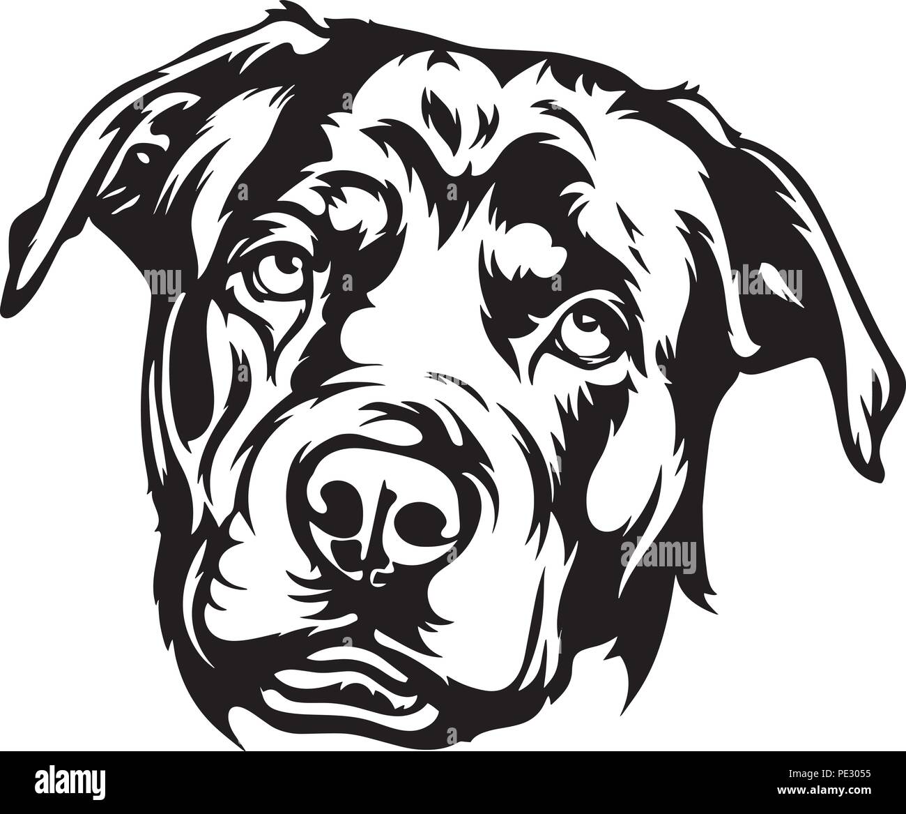 Rottweiler Rotty Dog Breed Pet Puppy Isolated Head Face Stock Vector ...