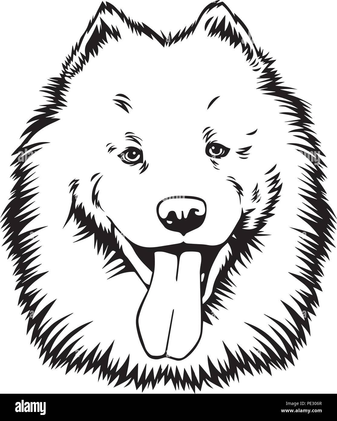 Samoyed Dog Breed Pet Puppy Isolated Head Face Stock Vector Image & Art ...