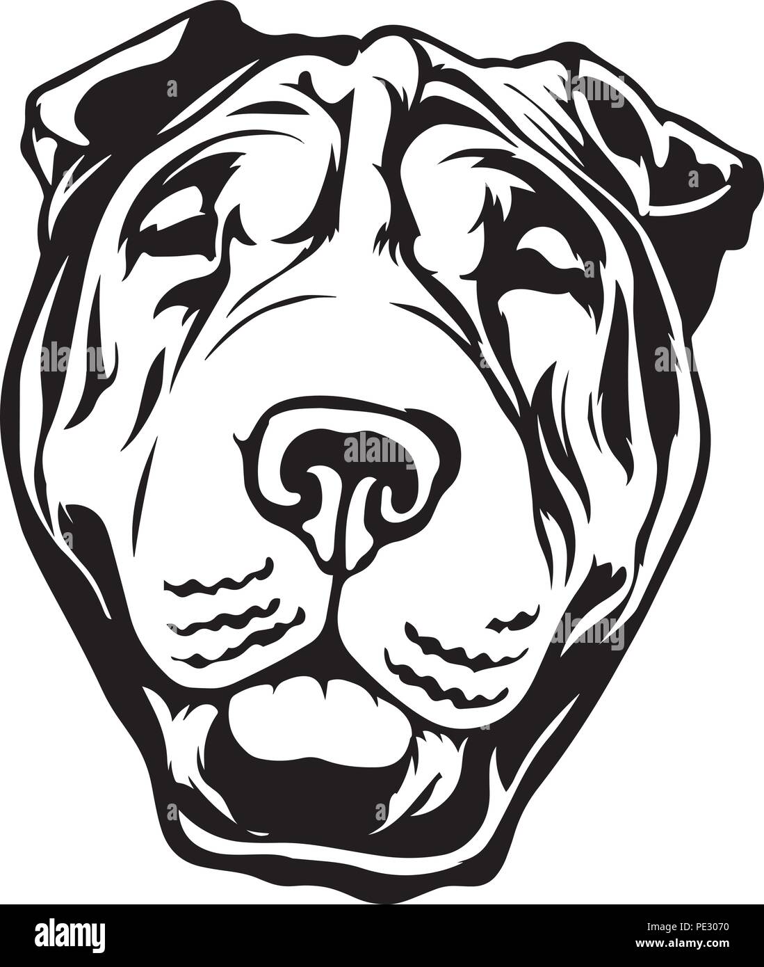Shar Pei Dog Breed Pet Puppy Isolated Head Face Stock Vector Image ...