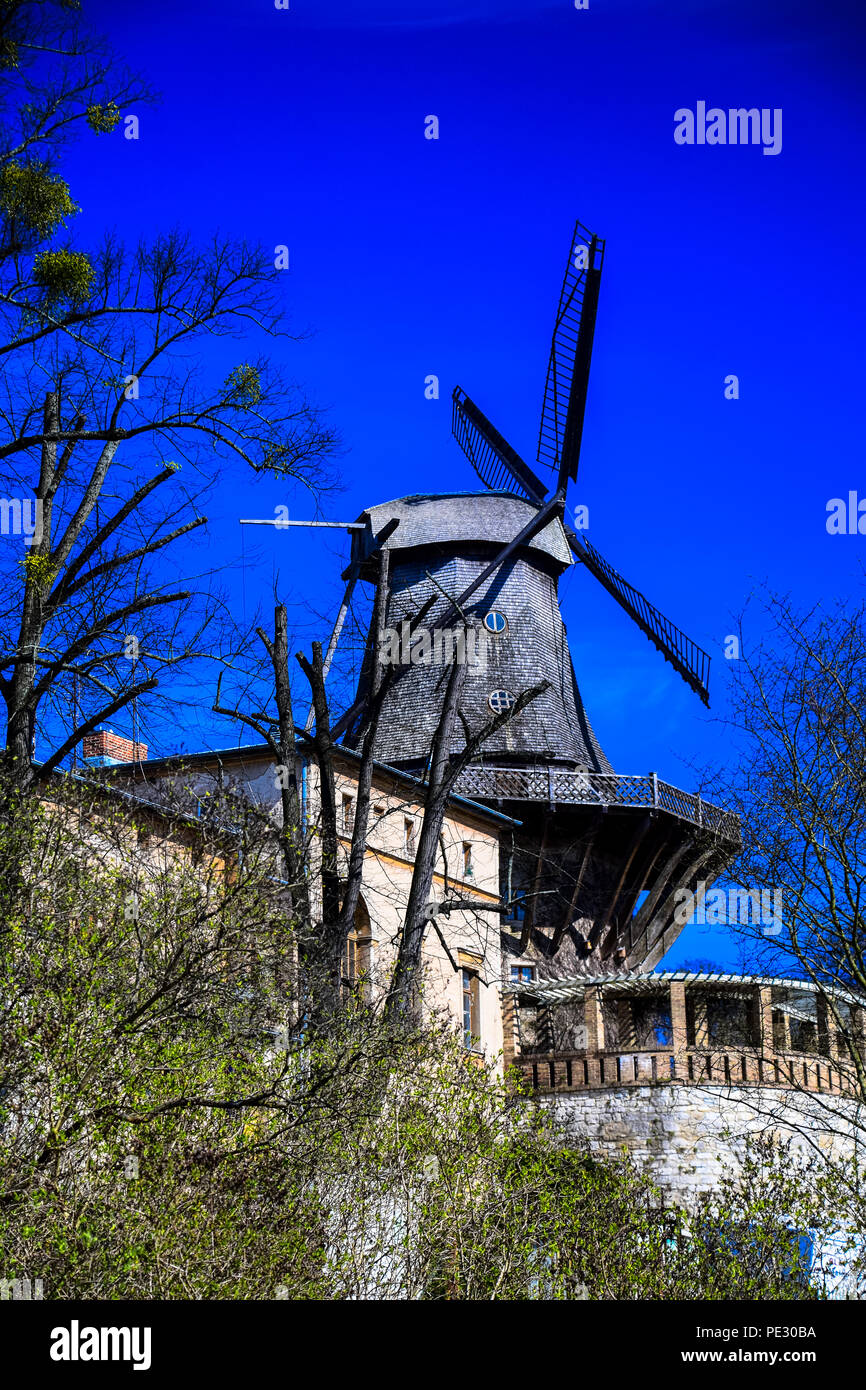 Windmill in the Parc Sansoucci, built be Frederick the Great of Prussia ...