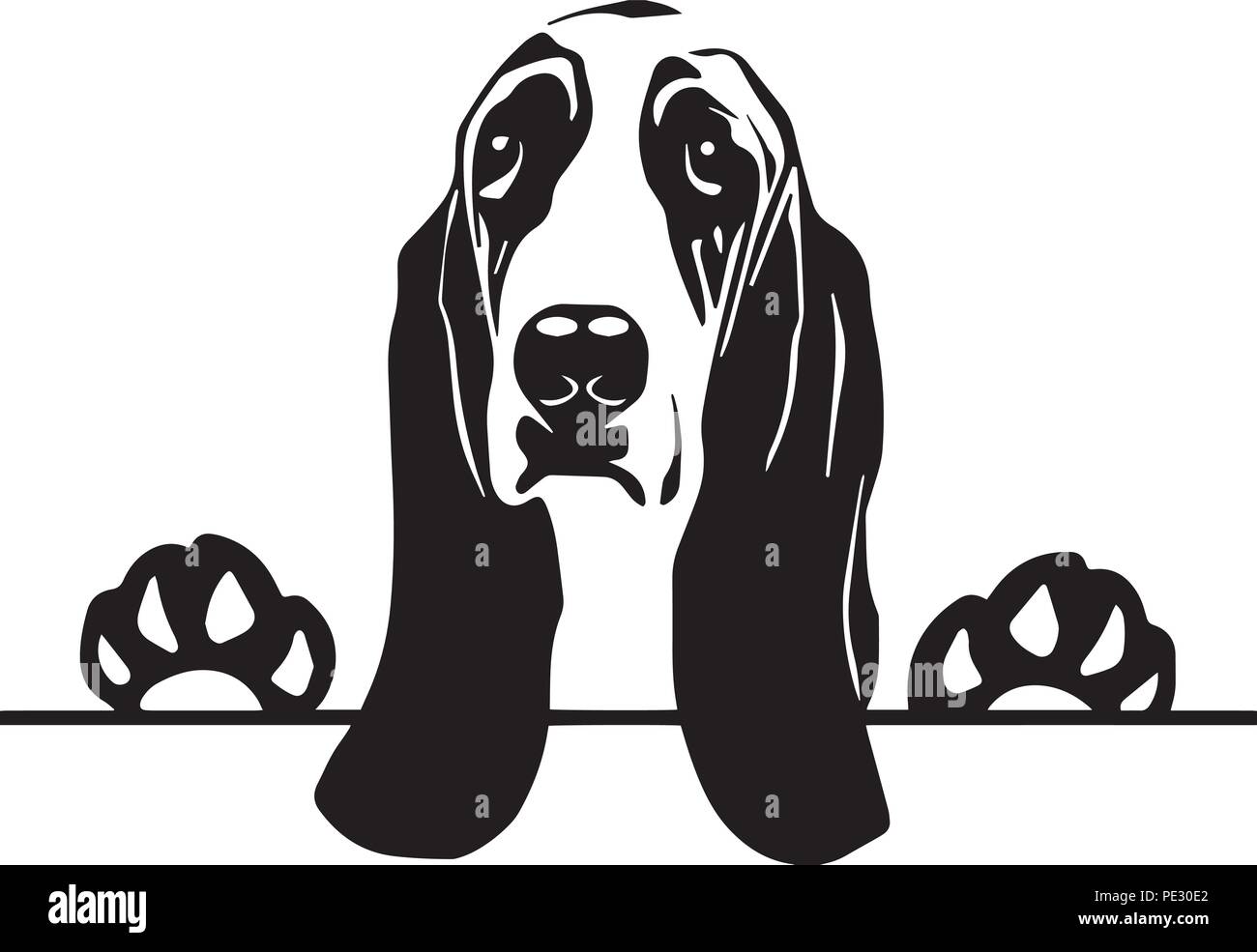 Basset Hound Dog Breed Pet Puppy Isolated Head Face Stock Vector Image ...