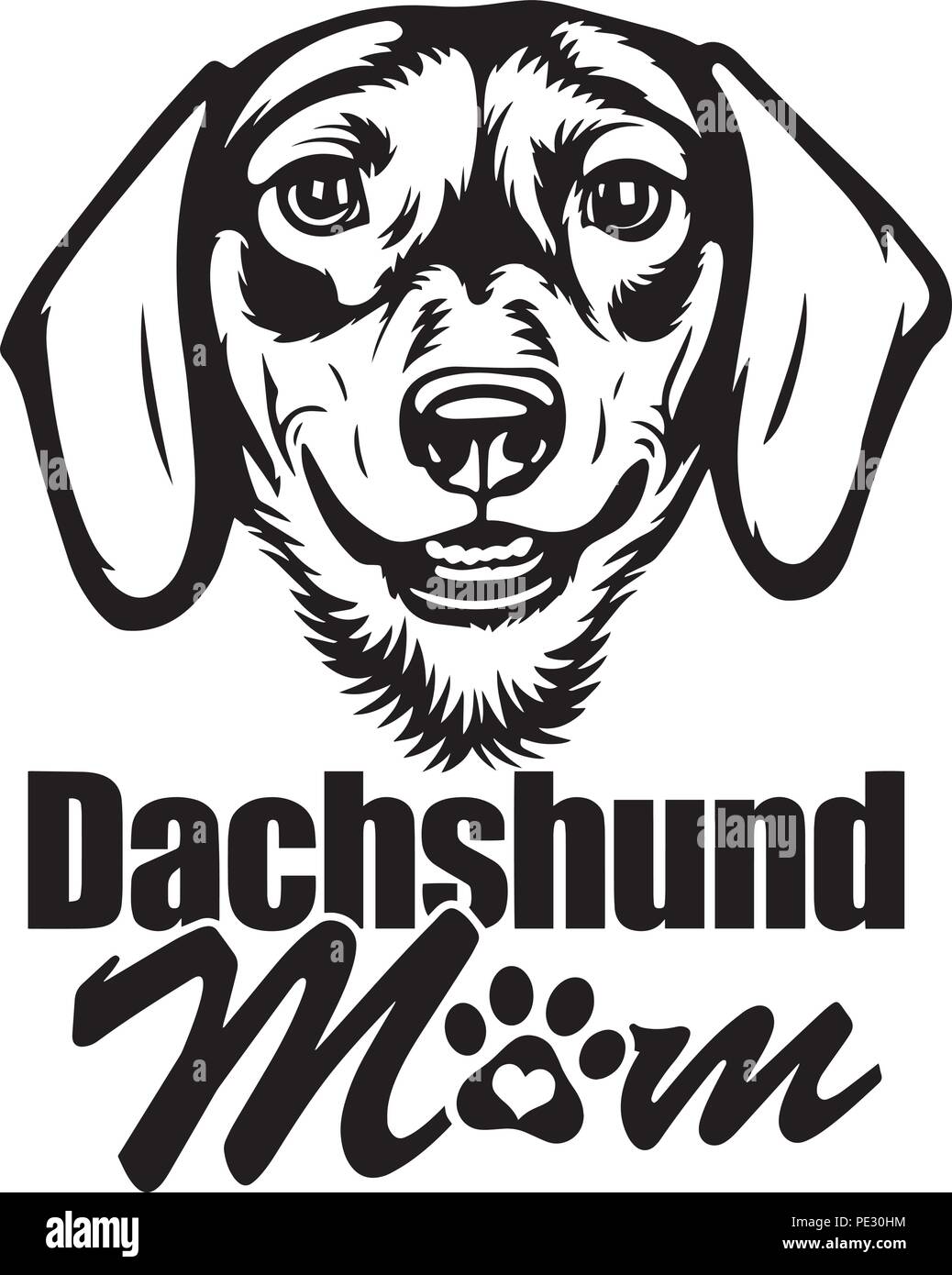 Dachshund Dog Breed Pet Puppy Isolated Head Face Stock Vector Image ...