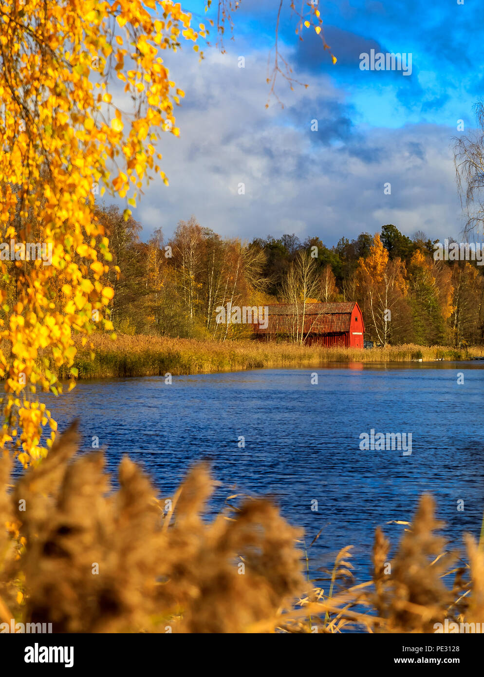 Colorful Swedish rural landscape in the fall, with a traditional red ...
