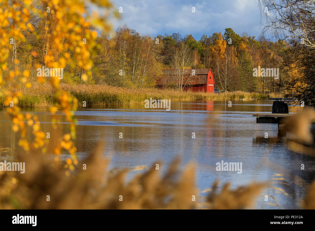 Colorful Swedish rural landscape in the fall, with a traditional red ...