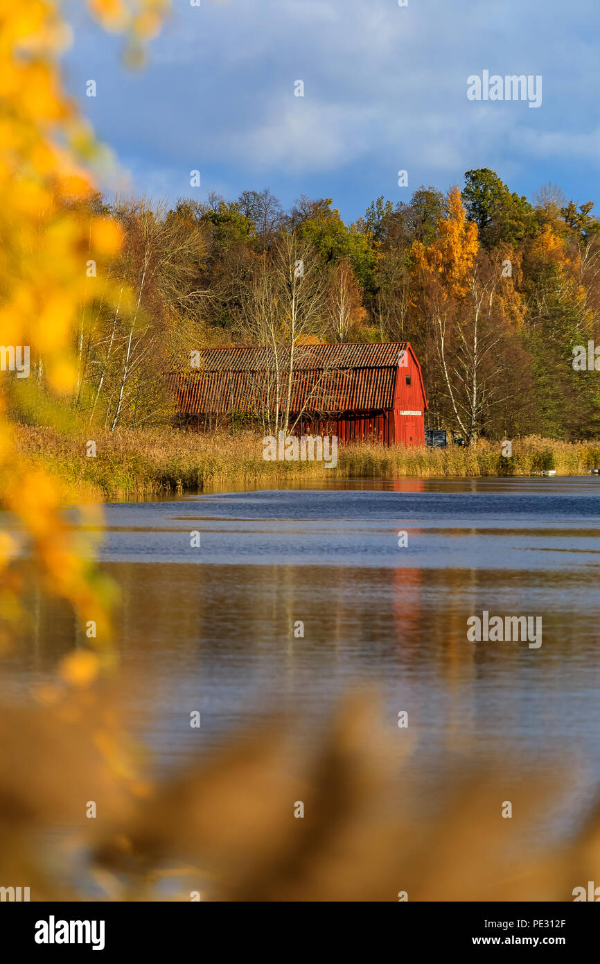 Colorful Swedish rural landscape in the fall, with a traditional red ...