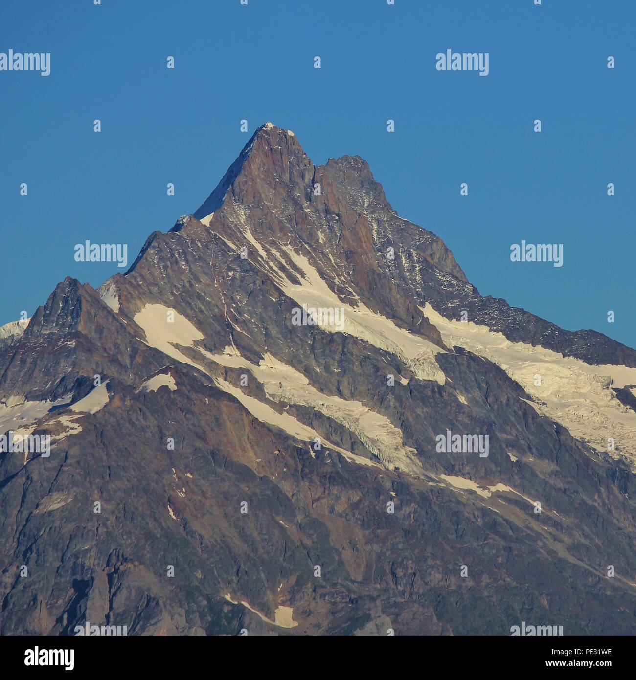 Schreckhorn seen from Mount Niederhorn. Majestic mountain in the ...