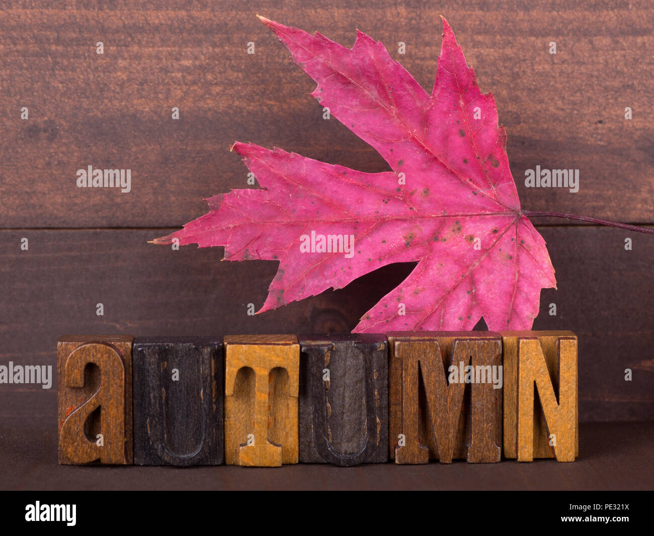 Autumn wood lettering with maple leaf on a wood background Stock Photo ...