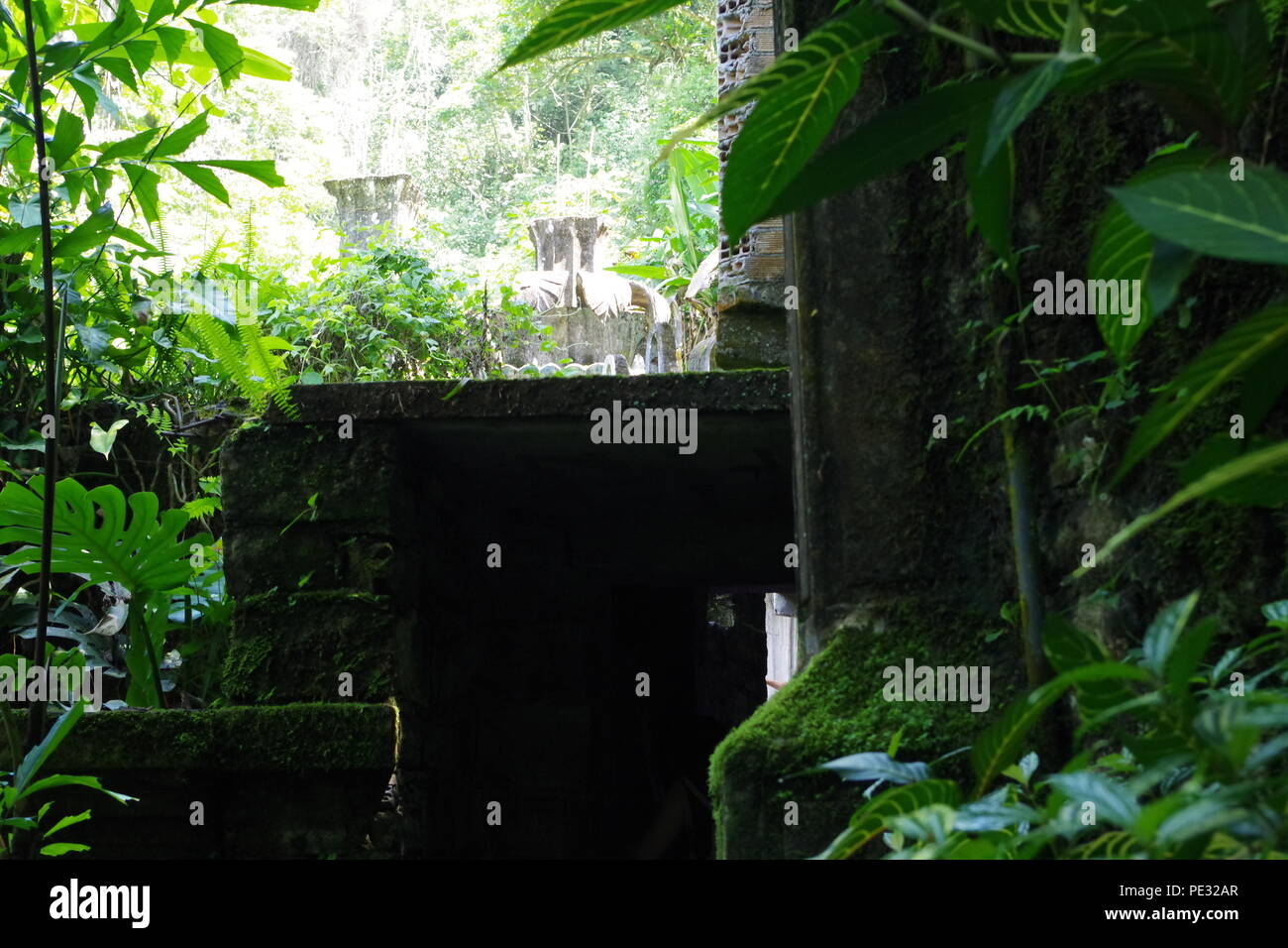 ruins in rainforest Stock Photo - Alamy