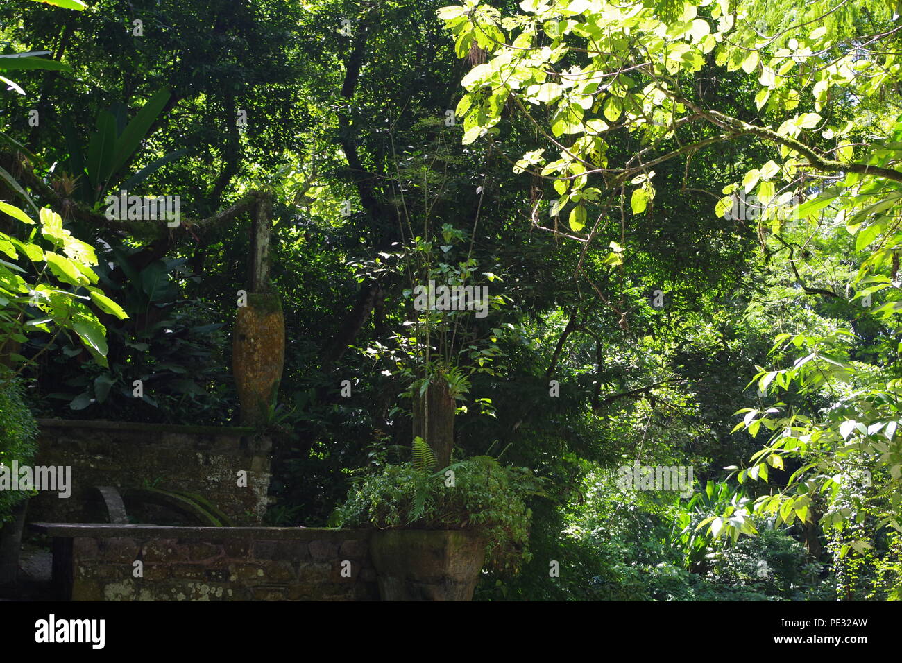 Summer green landscape photography hi-res stock photography and images ...
