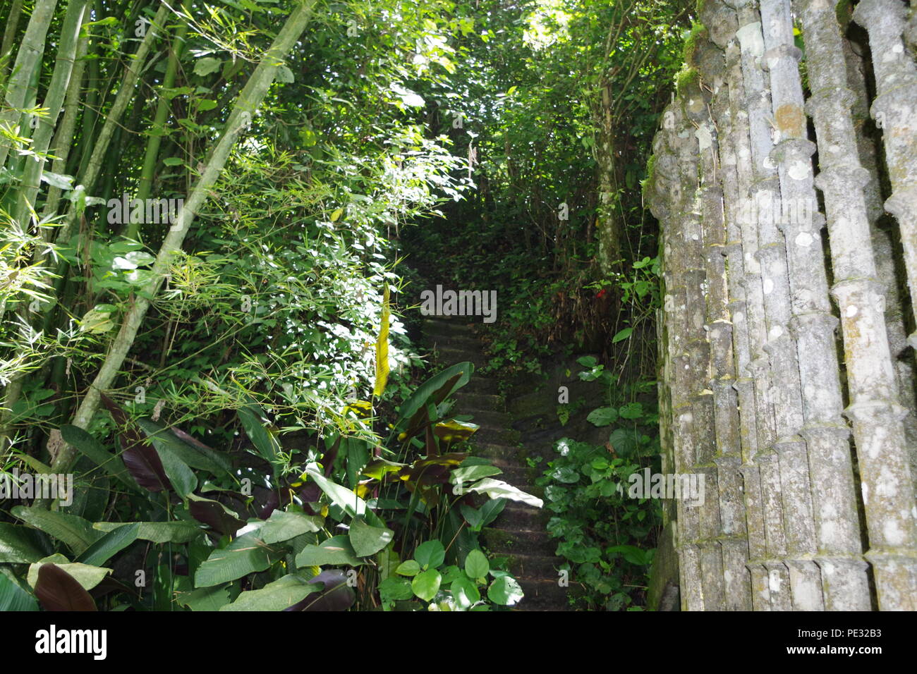 ruins in rainforest Stock Photo - Alamy