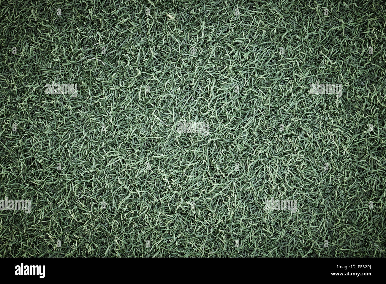 vintage green grass and texture filed background Stock Photo - Alamy