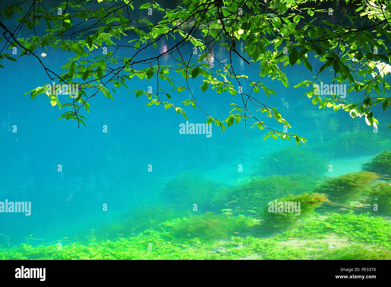 Karstic spring hi-res stock photography and images - Alamy