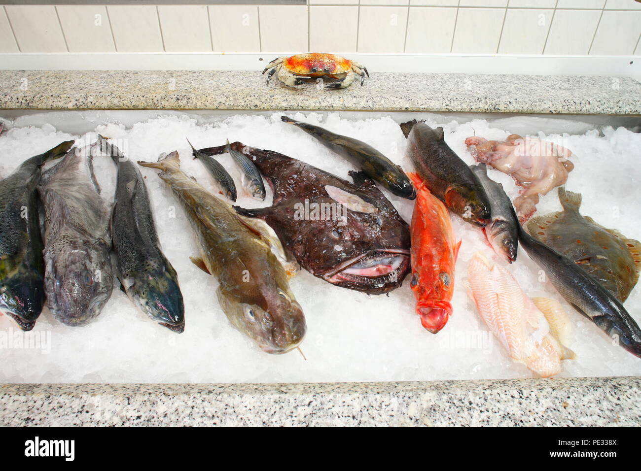 Raw food fish on ice in a fish counter, showcase Fischreihafen ...