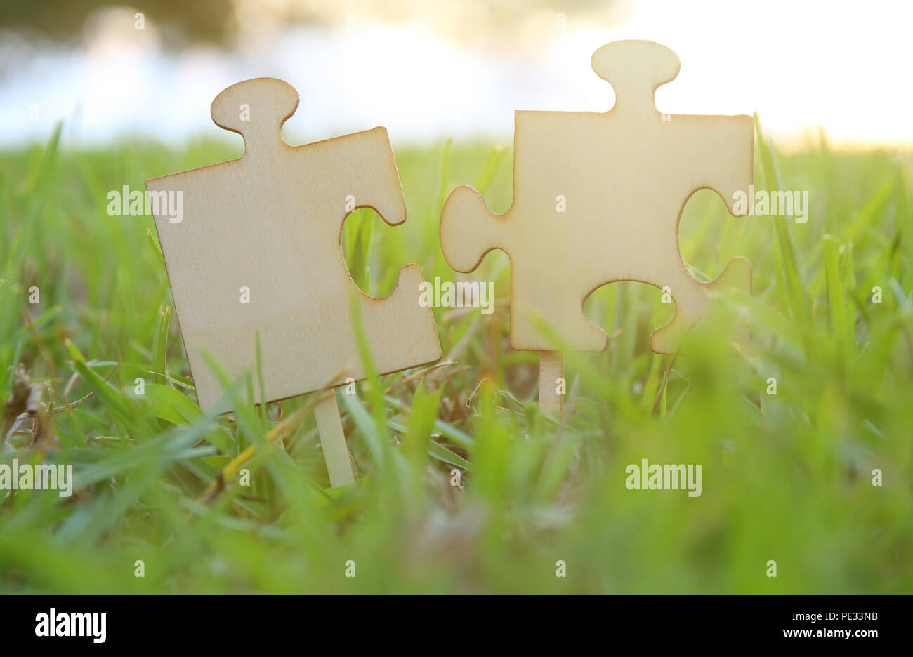 Two puzzle pieces placed in the grass during sunset time with lens ...