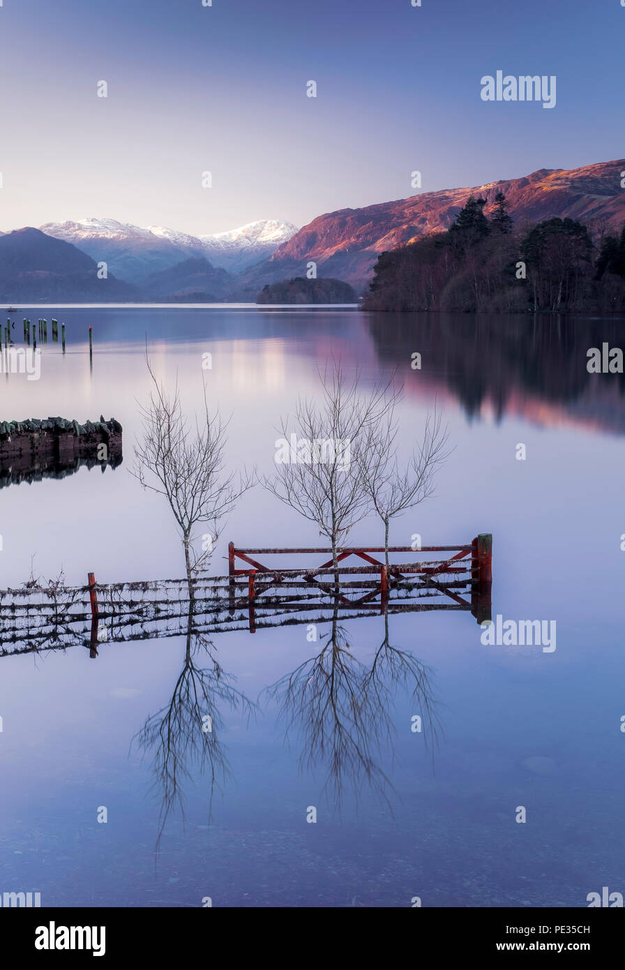 Sunken gate and trees reflecting in Derwent Water with snow capped ...
