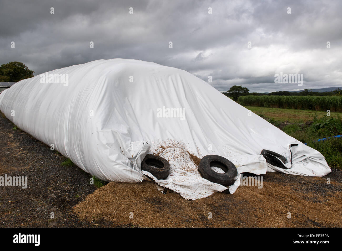 Fodder store hi-res stock photography and images - Alamy