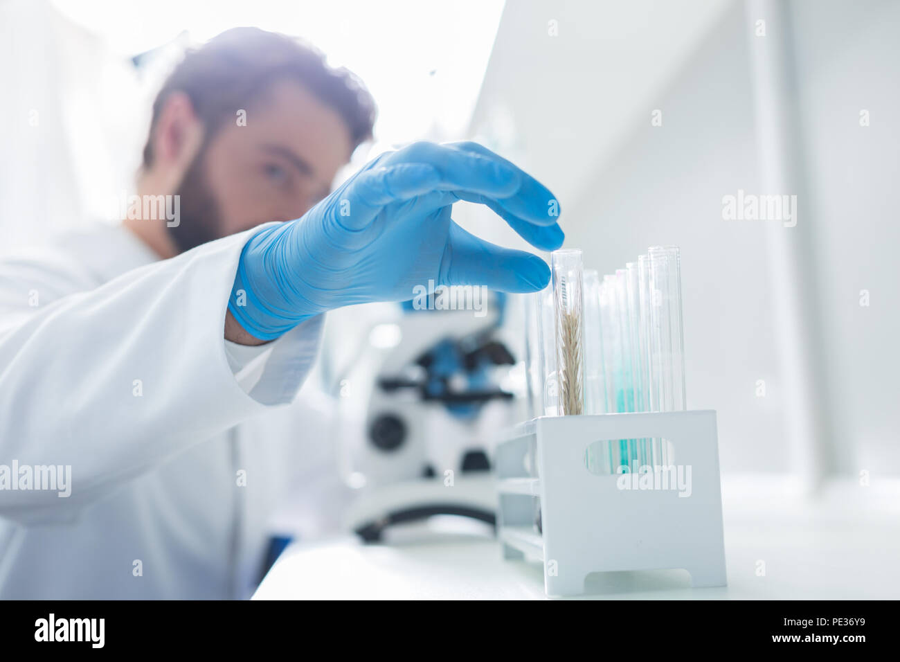 Professional biologist. Selective focus of a male hand in the ...