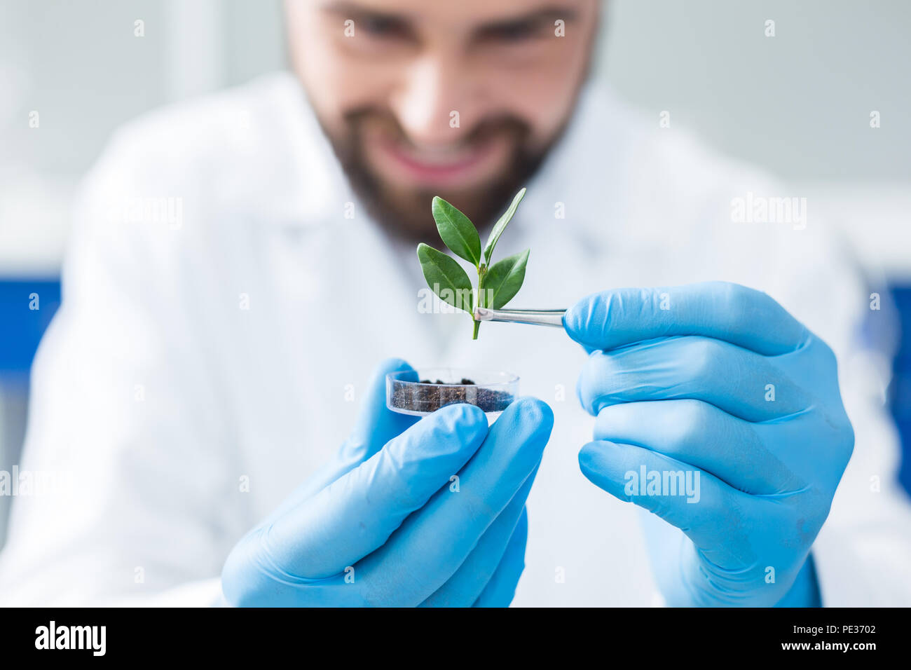 Eco engineering. Selective focus of a plant being used in the ...