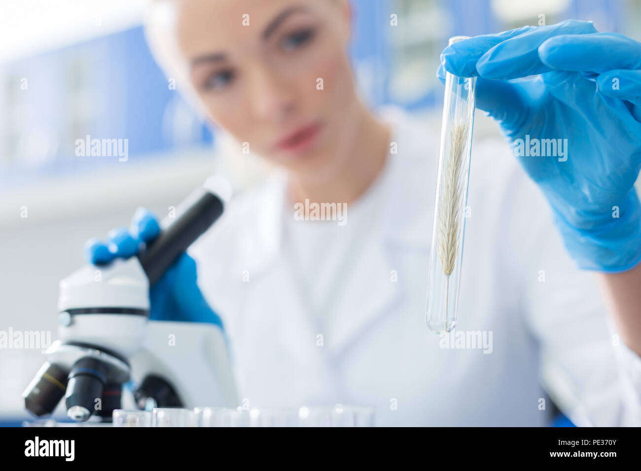 The agro cone hi-res stock photography and images - Alamy