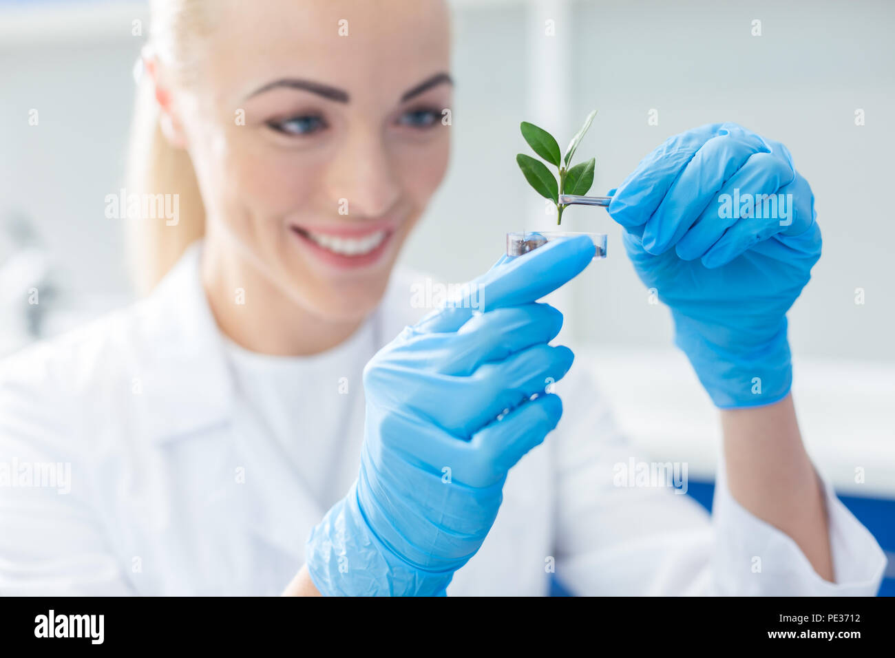 Ecological conservation. Selective focus of a green plant being put ...