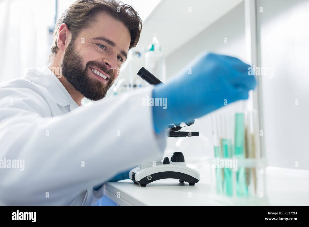 Biological research. Cheerful smart male scientist looking at the test ...
