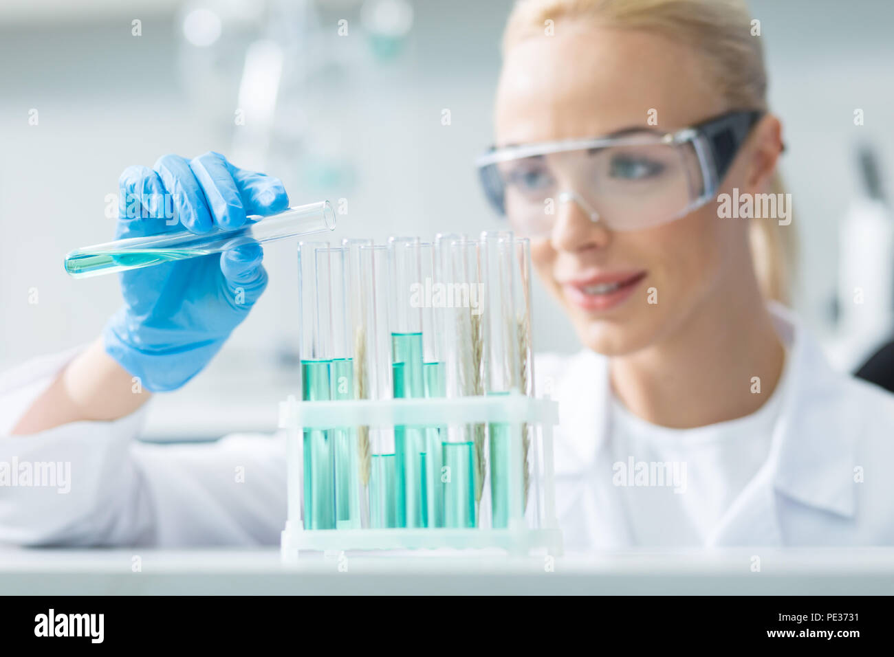 Chemical research. Selective focus of test tubes with chemical liquid ...