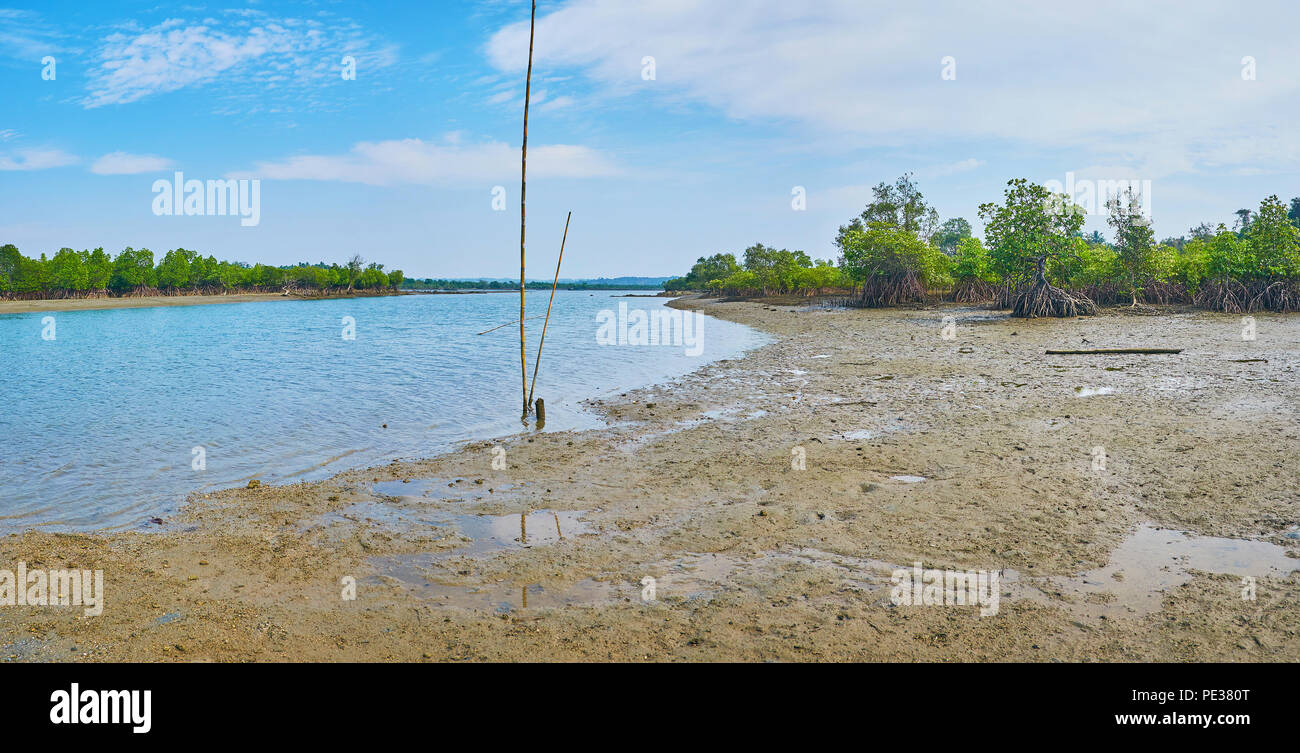 Panorama of the Pathein river tributary, surrounded by mangroves and ...