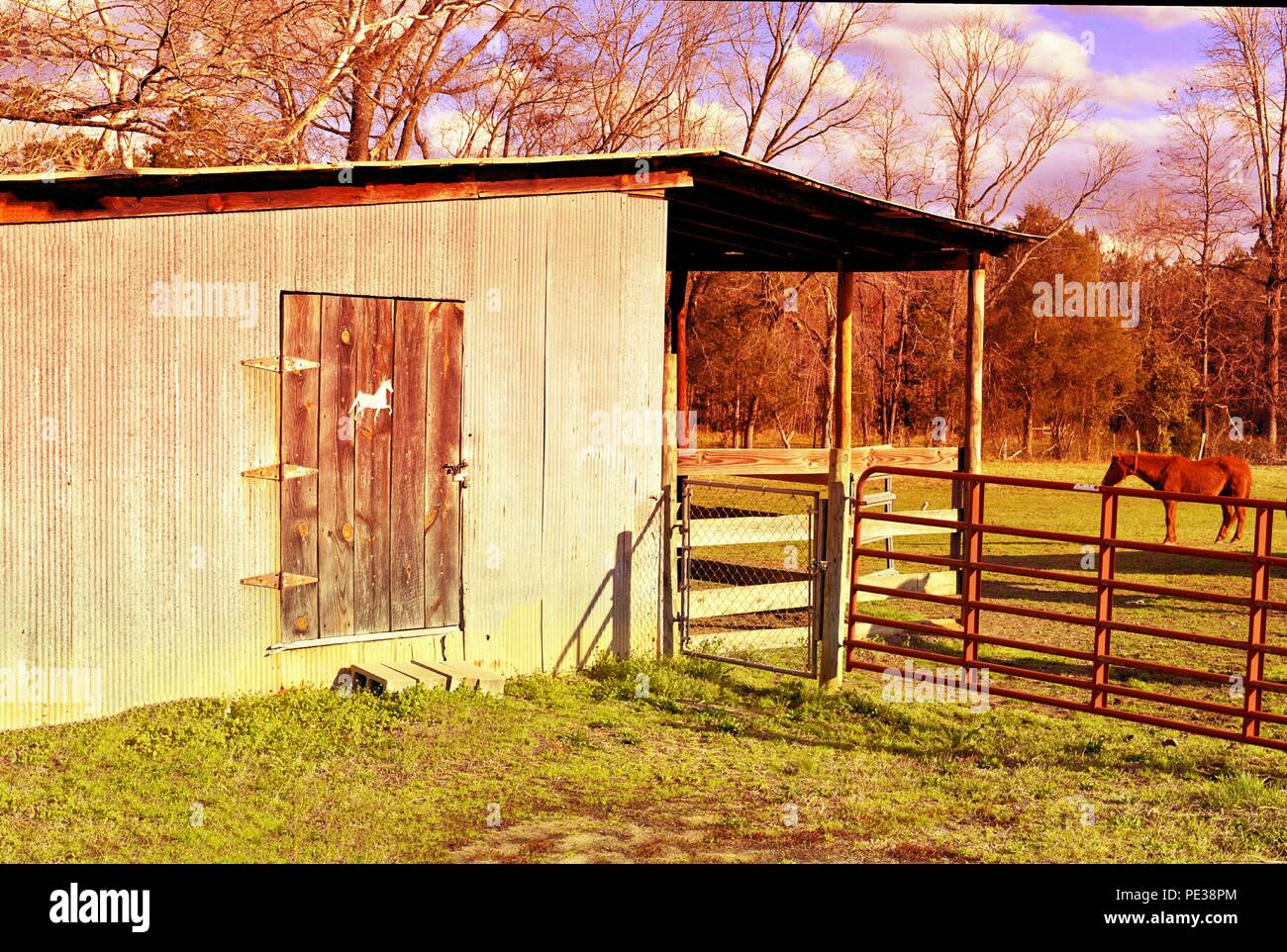 Horse corral hi-res stock photography and images - Alamy