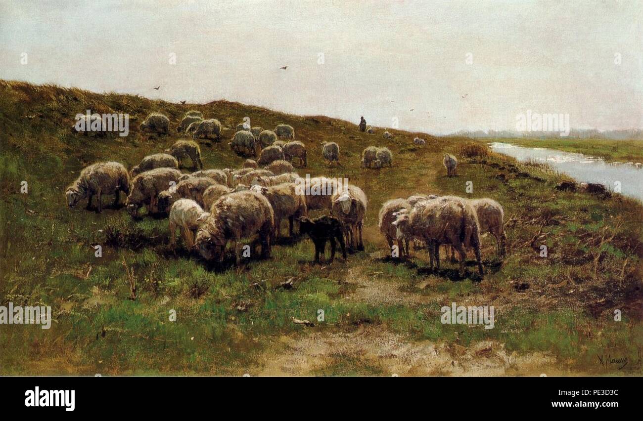 Anton Mauve - Schapen op een dijk Stock Photo - Alamy