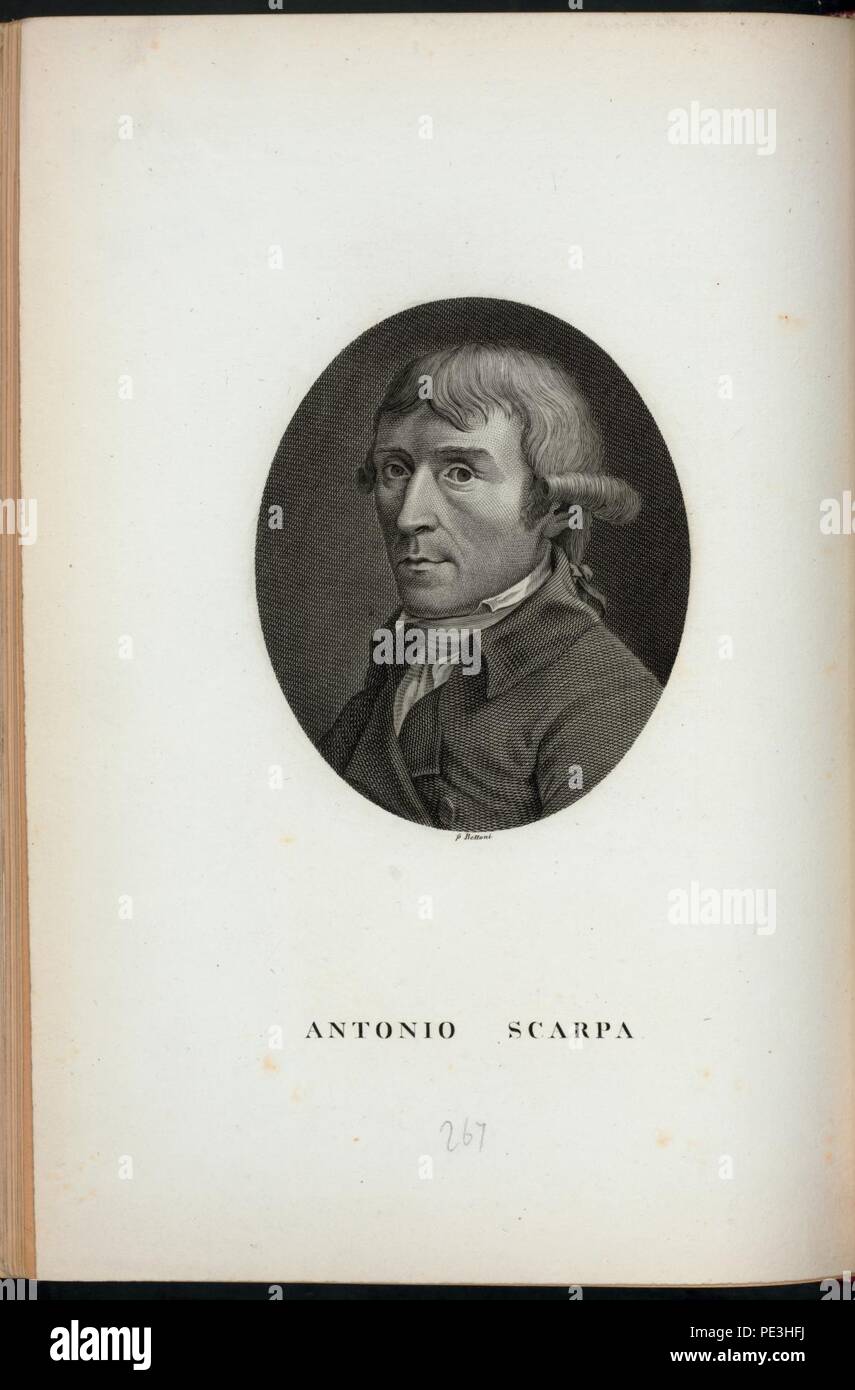 Antonio scarpa hi-res stock photography and images - Alamy