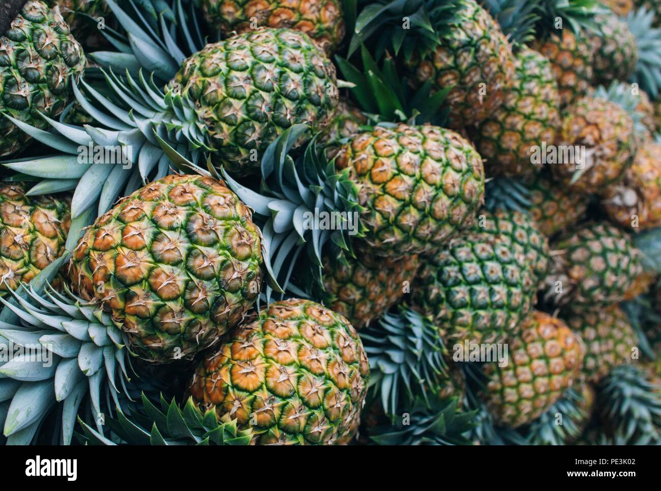 In botany, a tree is a perennial plant with an elongated stem, or trunk ...