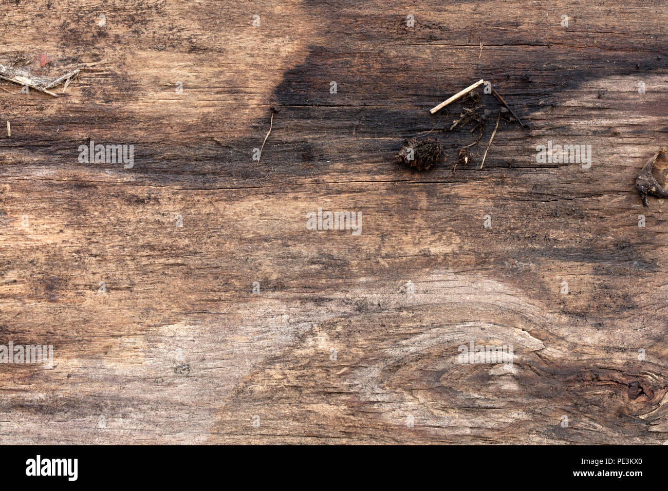 Old Wooden Background with structure in Detail Stock Photo - Alamy