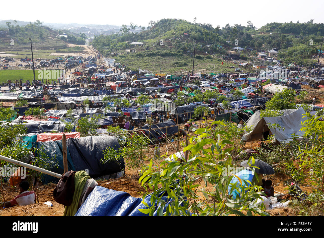 Newly arrived Rohingya refugees are building new shelters by cutting ...